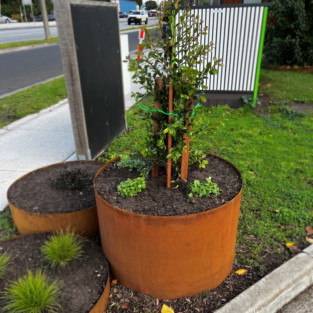 *NEW* *Extra Large* Corten Steel Rust Garden Ring 600mm – Chippy's Outdoor