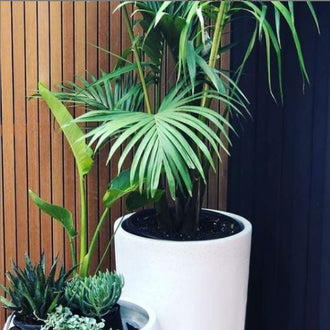 Timber Screening, Wooden Hardwood Screens in Spotted Gum & Merbau ...